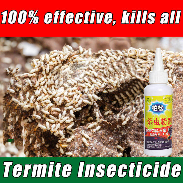 BAI SONG Termites killer Fpowder 75g 【 one infected whole nest died ...