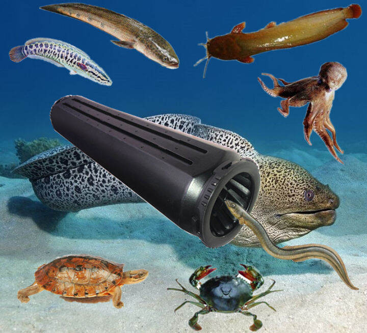 Sanchi Sea Eel Cage Crab Octopus Monopterus albus Fish Cage 15cm ...