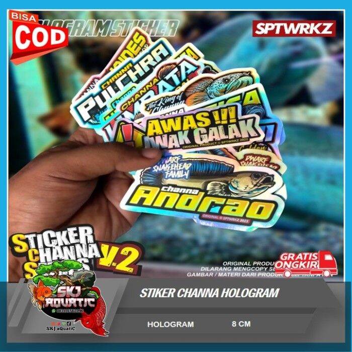 STIKER HOLOGRAM IKAN CHANNA | Lazada Indonesia