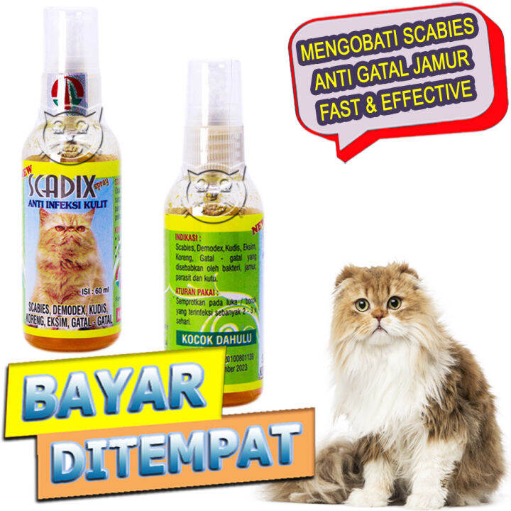 Scadix Spray Obat Koreng Jamur Buduk Luka Scabies Kucing | Lazada Indonesia