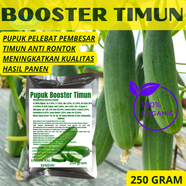 Pupuk Booster Pelebat Buah Timun Organik / Pupuk Timun Pemacu dan ... Pupuk Booster Pelebat Buah Timun Organik / Pupuk Timun Pemacu dan ...