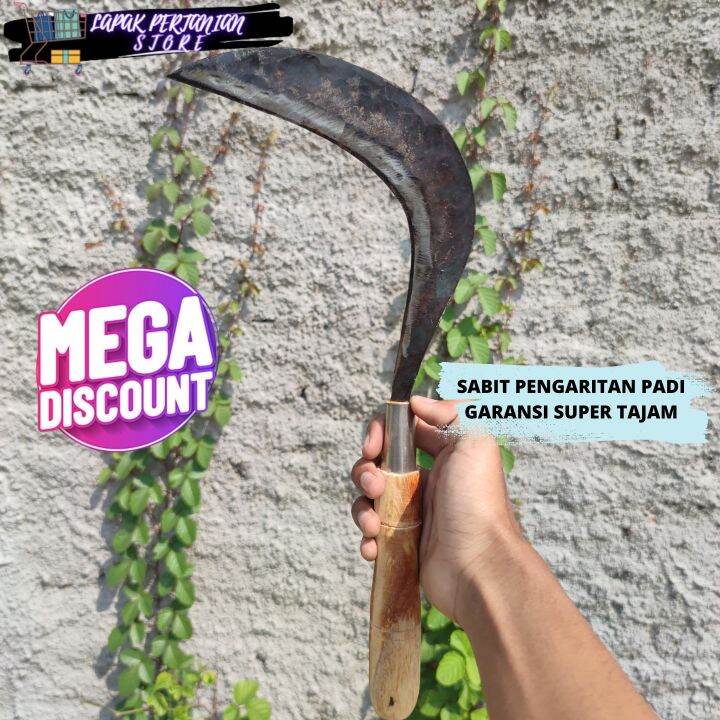 Sabit Jawa Superrr Tajam - Arit Panen Padi Bahan Per Sepuh Tuwa - Alat ...