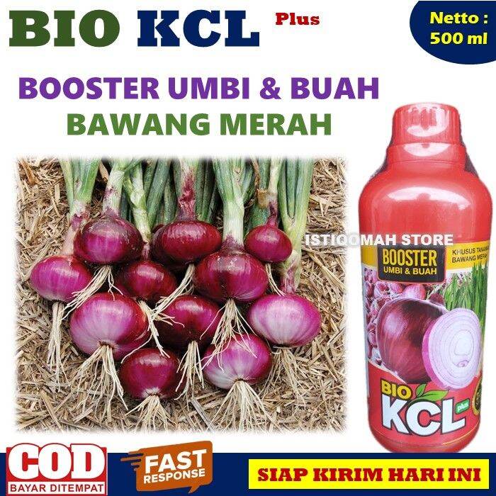 Bio KCL Plus 500ML Pupuk Booster Umbi Bawang Merah Terbaik, Pupuk ...