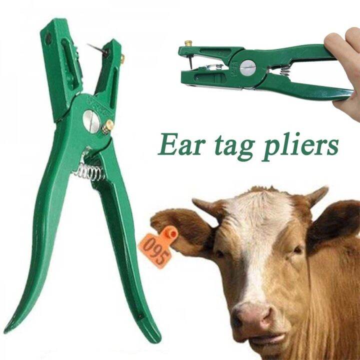 ODZ5L Green Metal Farm Identification tool Livestock for Swine Cow ...