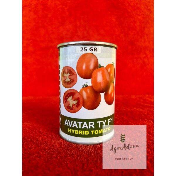 AVATAR TY F1 Hybrid Tomato Seeds 25 grams (Condor Quality Seeds ...