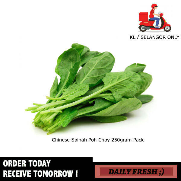Fresh Chinese Spinach Poh Choy 250gram Pack Fresh Vegetables | Lazada
