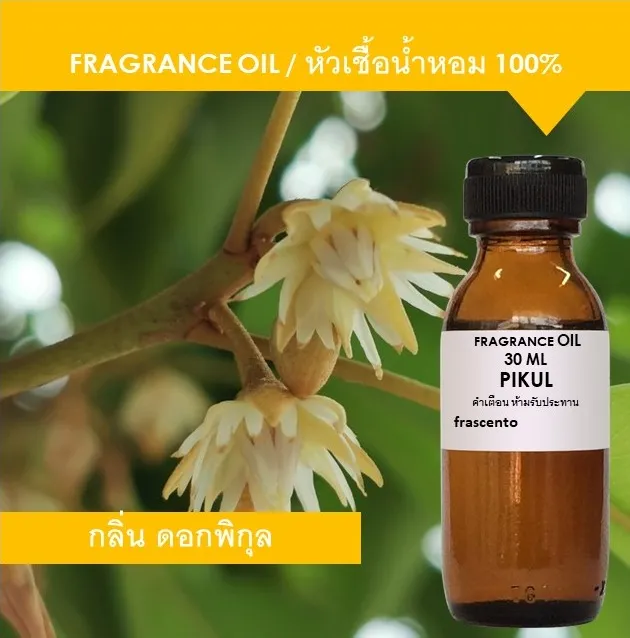 PIKUL FRAGRANCE OIL 30 ML , 100 ML หัวเชื้อน้ำหอม กลิ่น ดอกพิกุล ...