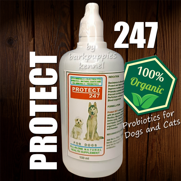 PROTECT 247 APETITE BOOSTER | ANTI PARVO | IMMUNE SYSTEM BOOSTER | ALL ...