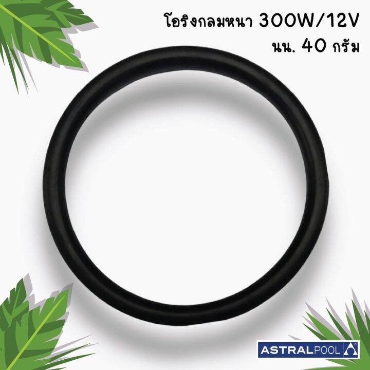 โอริงไฟใต้น้ำ 300W/12V Astrapool | Lazada.co.th