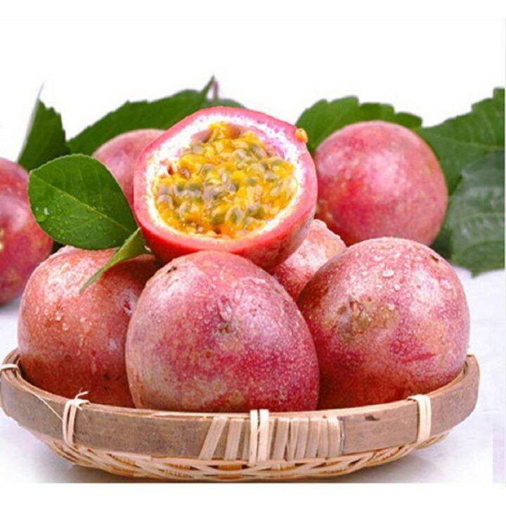 Buah Markisa Merah (It's a seed, not a plant!) | Lazada