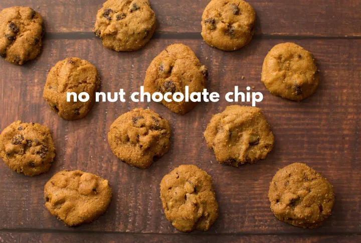 Famous Amos No Nut Chocolate Chip 400g | Lazada PH