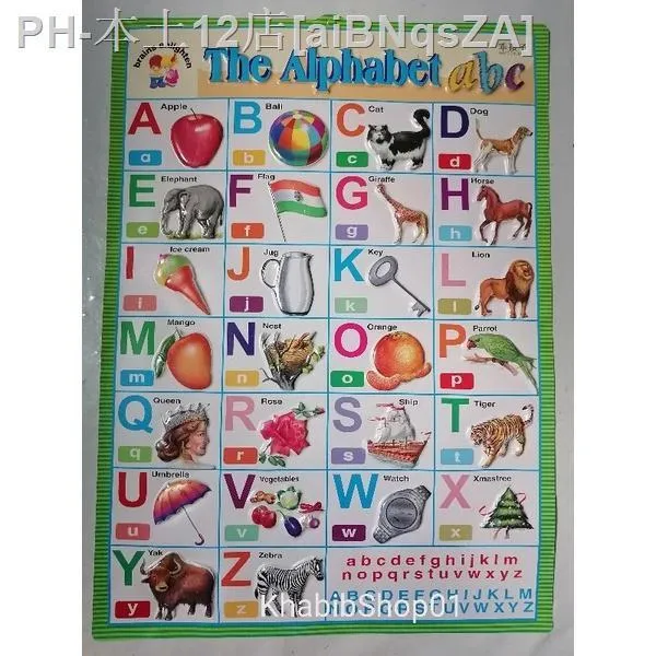 Wall Charts educational Plastic Embossed | Lazada PH