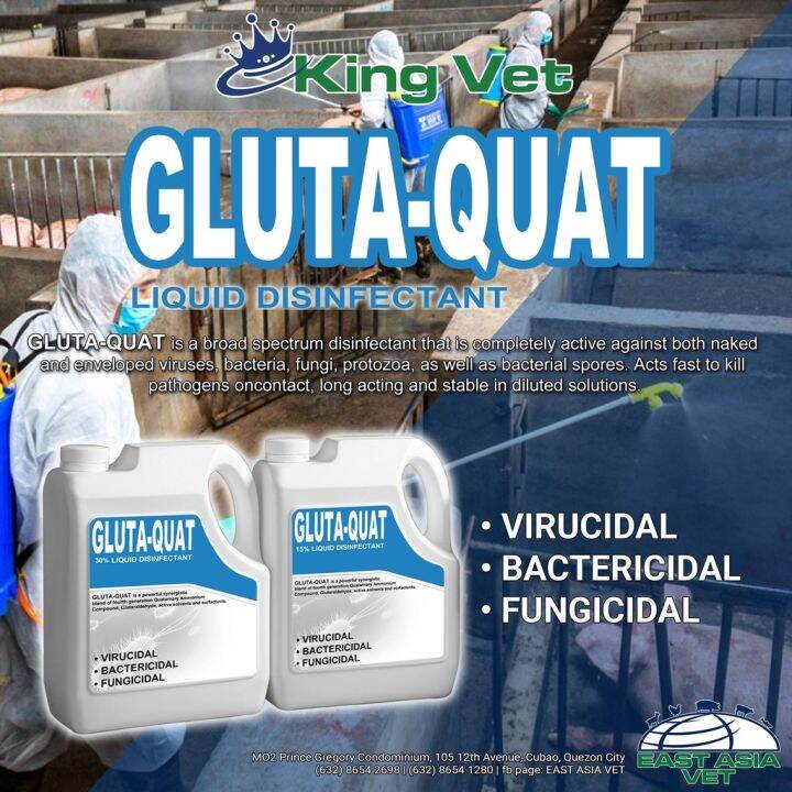 Gluta-Quat Disinfectant for Farm house disenfectant piggery Animals 4 ...