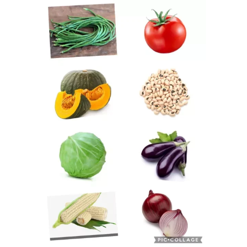 10 kinds of seed assorted/variety small gram for starter pack ...