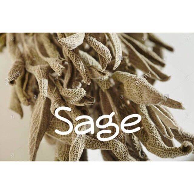 Organic dried herb sage leaves tea maramia 10g 50g flakes | Lazada PH