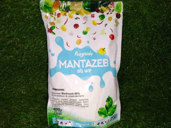 MANTAZEB 80 WP isi 800 gram fungisida mantazeb mancozeb biru mankozeb ...