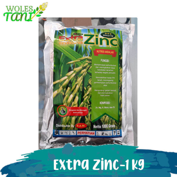 Pupuk Extra Zinc 1 Kg Pencegah Asam Asam Tanah | Lazada Indonesia