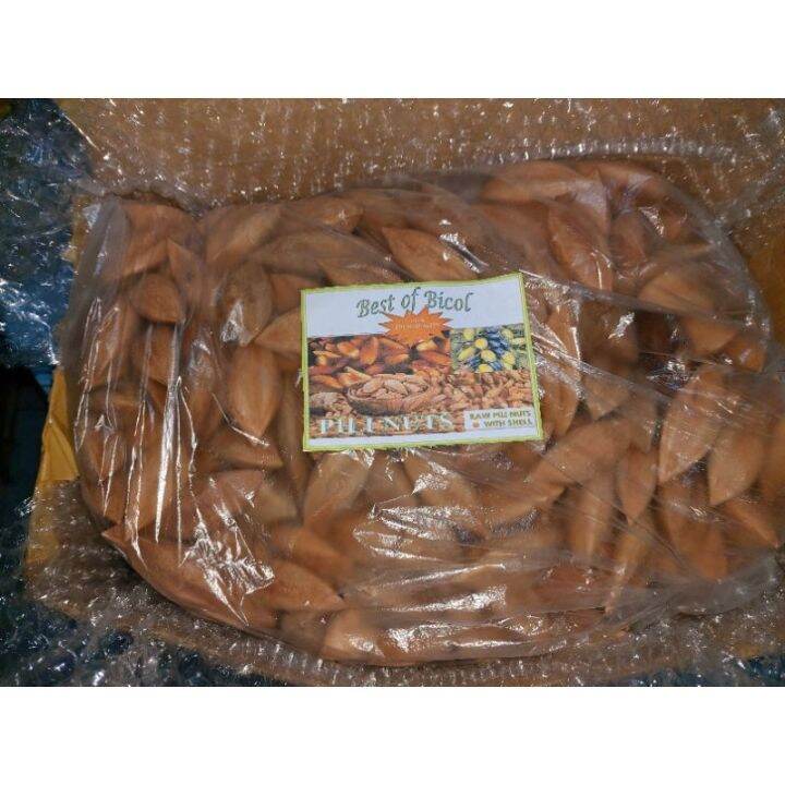 GOOD QUALITY RAW PILI NUTS WITH SHELL 1 KG FROM BICOL | Lazada PH