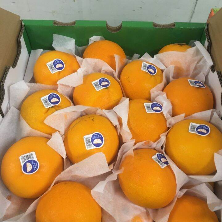 Jeruk Honey Murcot RRC Gift Box 5kg | Lazada Indonesia