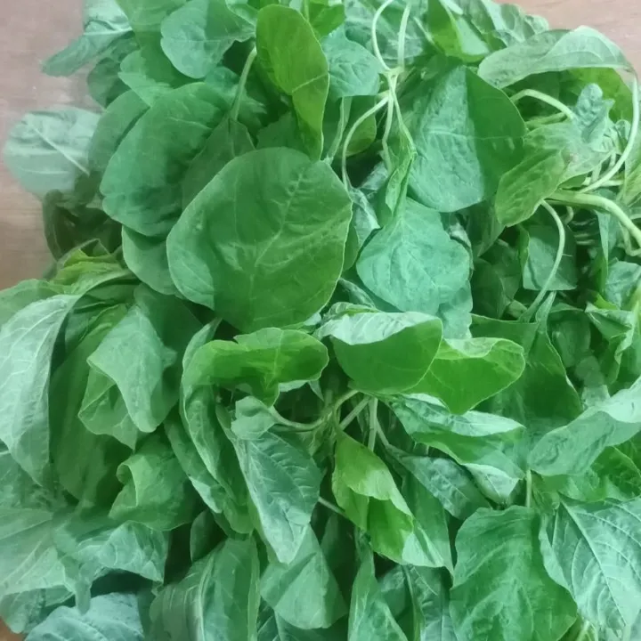 Bayam Hijau Segar / Sayur Bayam | Lazada Indonesia