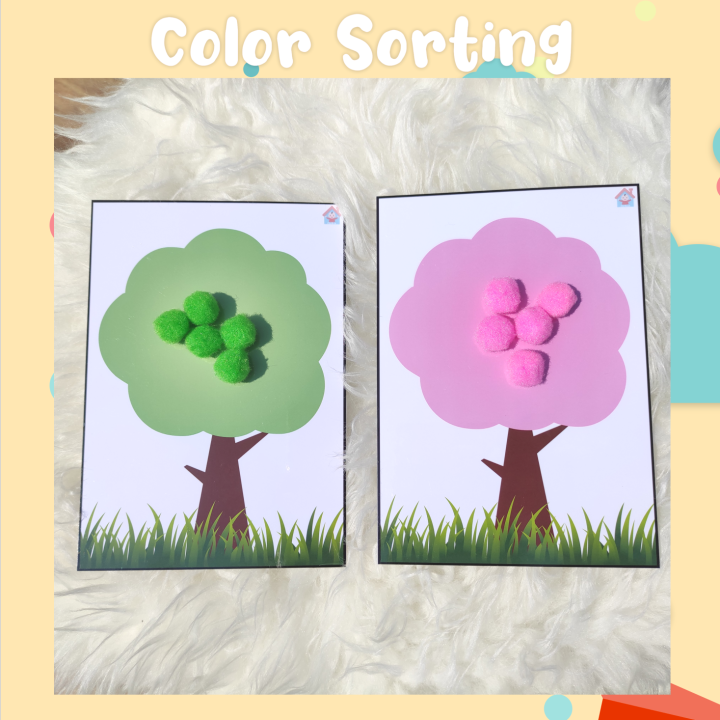 Color Sorting Belajar Anak Mengenal Warna dan Mencocokkan Montessori ...