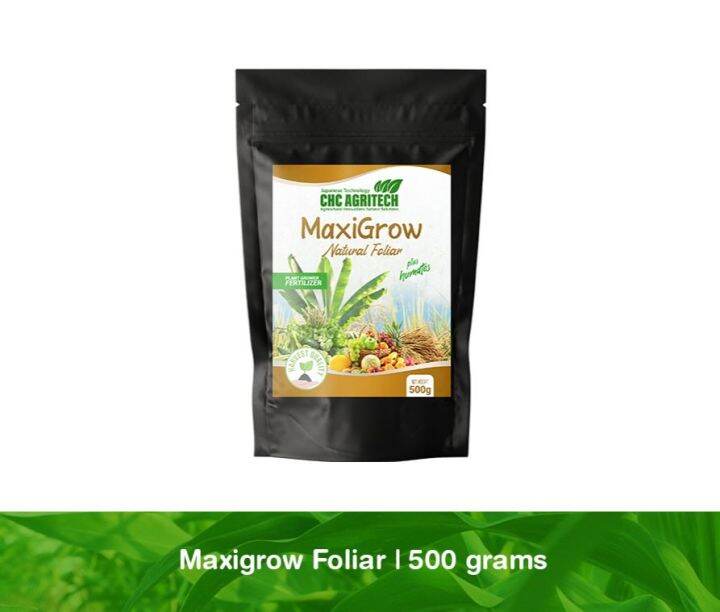 Maxigrow 500grams | Lazada PH