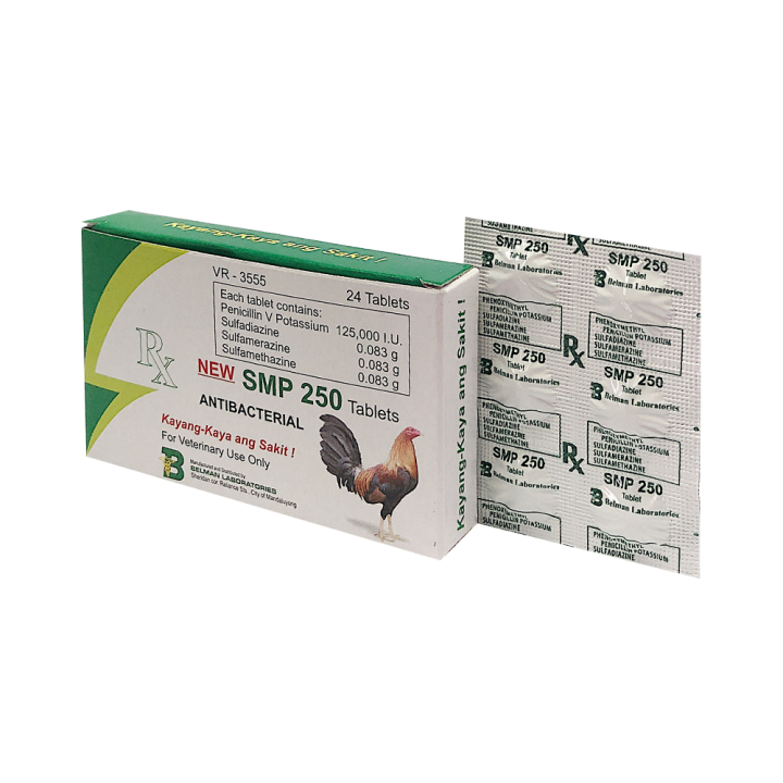 SMP 250 Tablet (24's) | Lazada PH