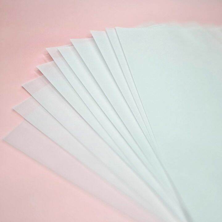 Curious Translucents Clear Vellum Paper - 10 Sheets ( | Lazada PH