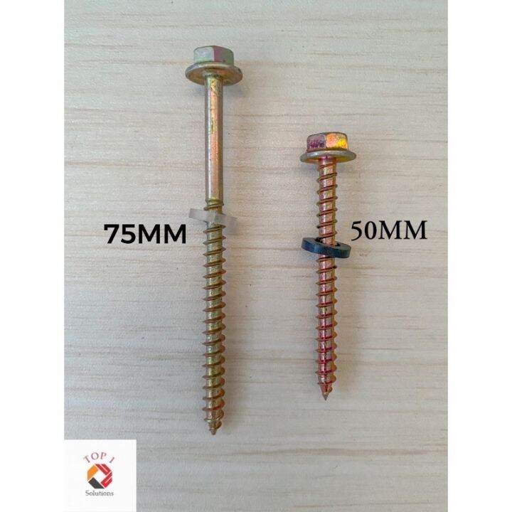 Tex Screw For Wood (10’s) | Lazada PH