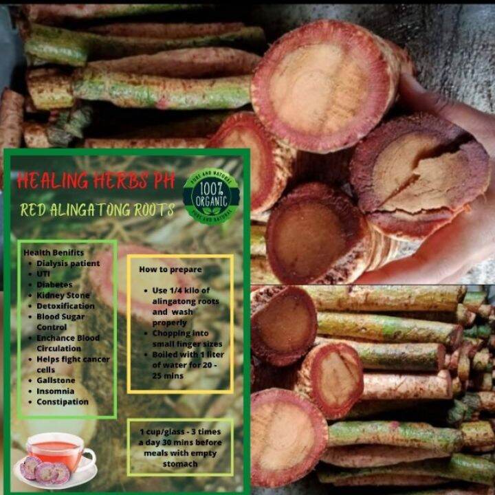 Hot shu92999851 100 pure and Fresh RED ALINGATONG ROOTS HERBAL TEA 1 ...