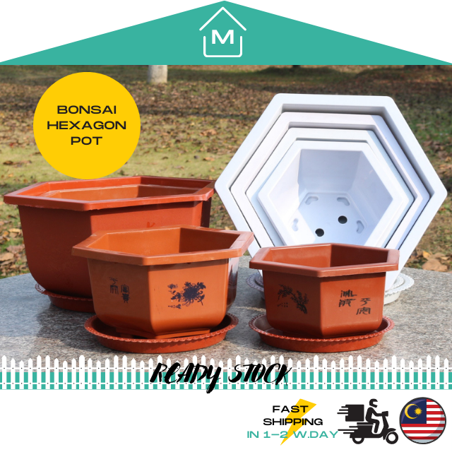[WITH TRAY] Hexagon Shape Plastic Succulent Flower Bonsai Pot / Pasu ...