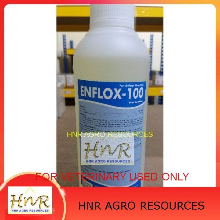 Enflox 100 1 liter/btl ubat oral.selsema cirit birit disebabkan ...