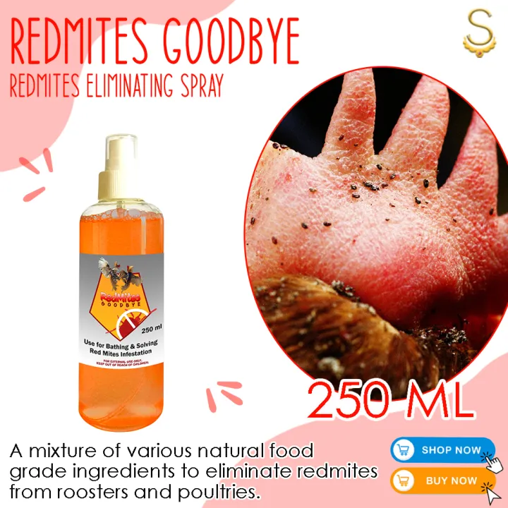 Redmites Goodbye Spray 250ml Natural Redmites Killer ( Pamatay Kuto ng ...