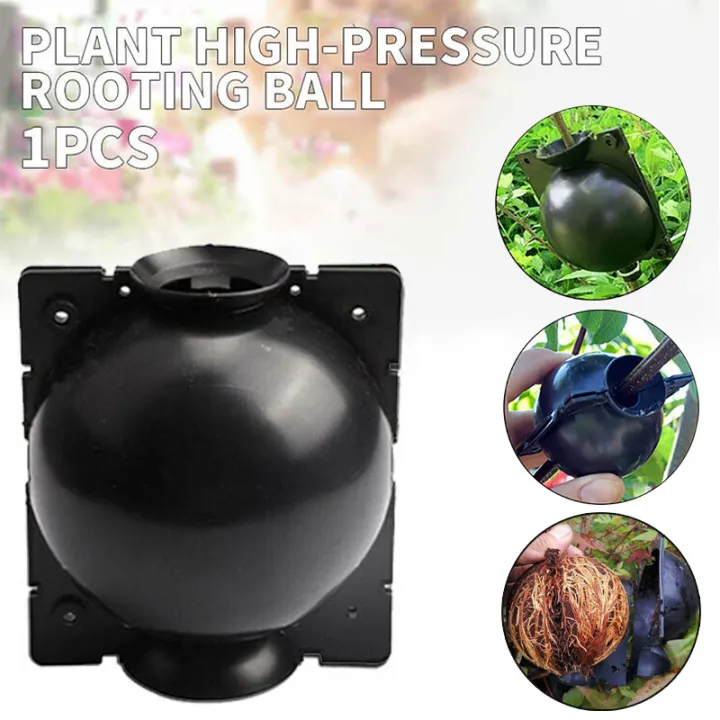 Plant Rooting Box Ball Plant Grafting Rooting Growing Box Breeding Case ...