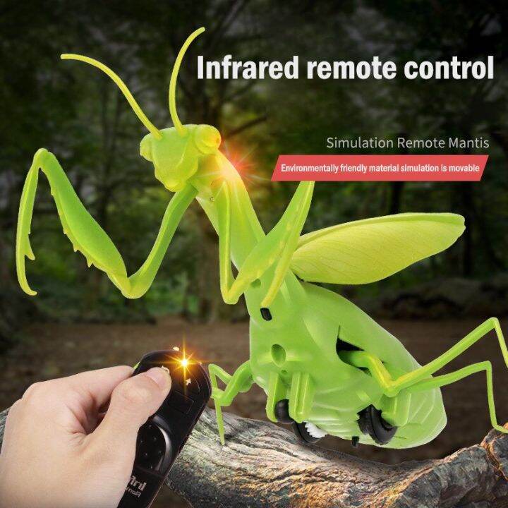Simulation Infrared Induction Remote Control Praying Mantis Insect ...