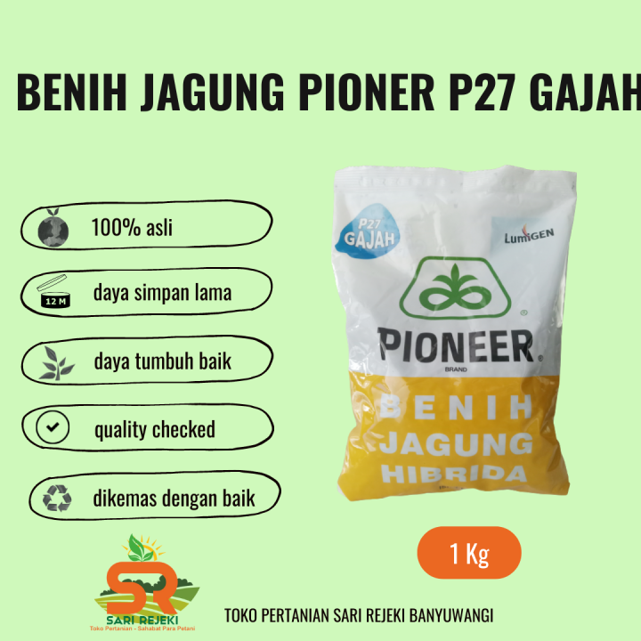 BENIH JAGUNG HIBRIDA PIONEER P27 GAJAH LUMIGEN 1KG | Lazada Indonesia
