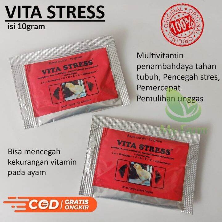 Vita Stress Kemasan 10 Gram - Obat Vitamin / Multivitamin Anti ( Cegah ...