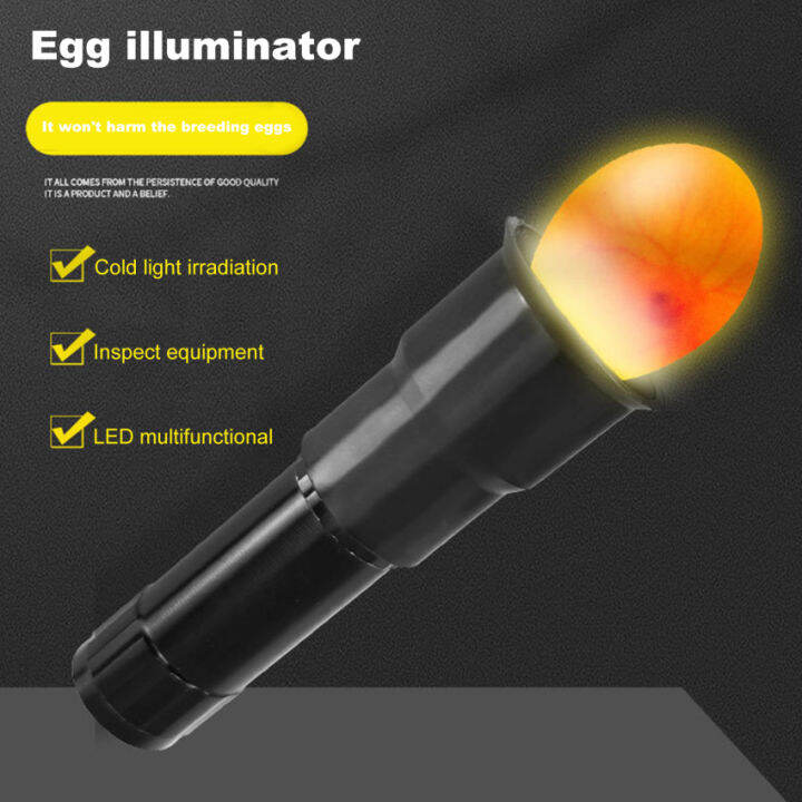 Luminous Egg Lamp Egg Detection Cold Light Flashlight LED Egg Detector ...