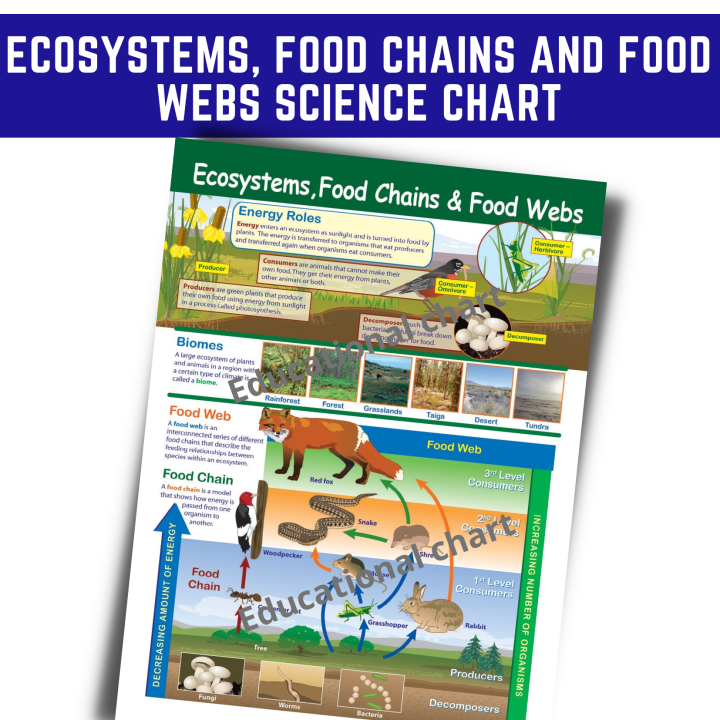 ECOSYSTEMS FOOD CHAINS & FOOD WEBS POSTERS CHARTS I ALL ABOUT SCIENCE ...