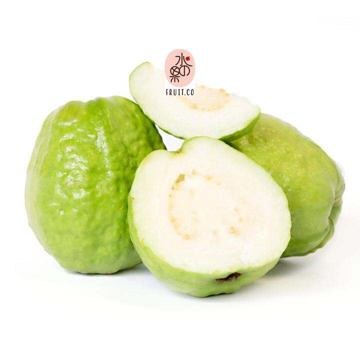 XL size Premium Lohan Guava 1PC FRUIT.CO 700gm+ | Lazada
