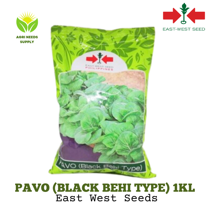 Pechay East West Seeds Pechay Pavo (Black Behi Type) 1kl. | Lazada PH