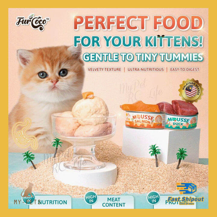 Furcoco Mousse Complete Wet Cat Food Can Food For Cats Salmon Duck ...
