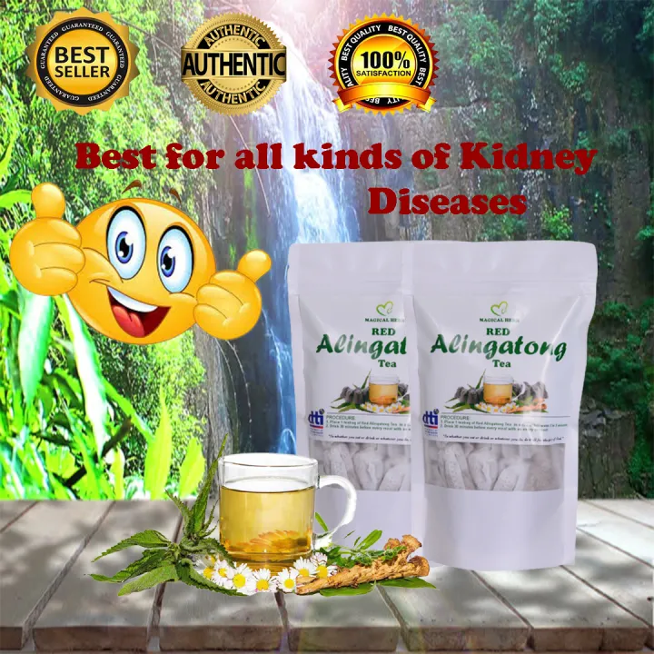 MAGICAL HERB One Organics Authentic ALINGATONG Roots Tea Herbal ...