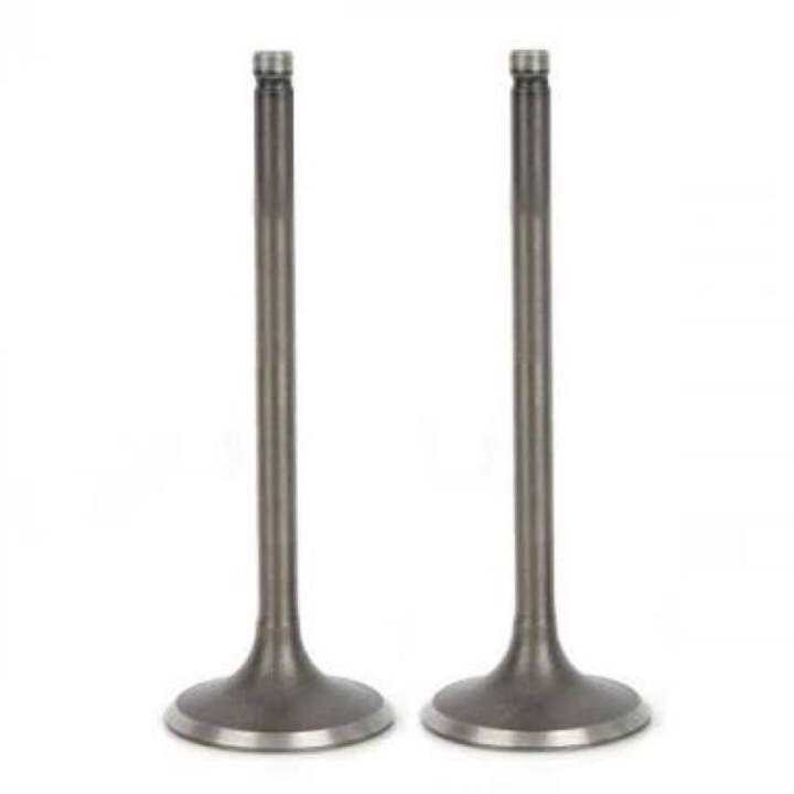 valve set big valve mio sporty (24*28 5mm) | Lazada PH