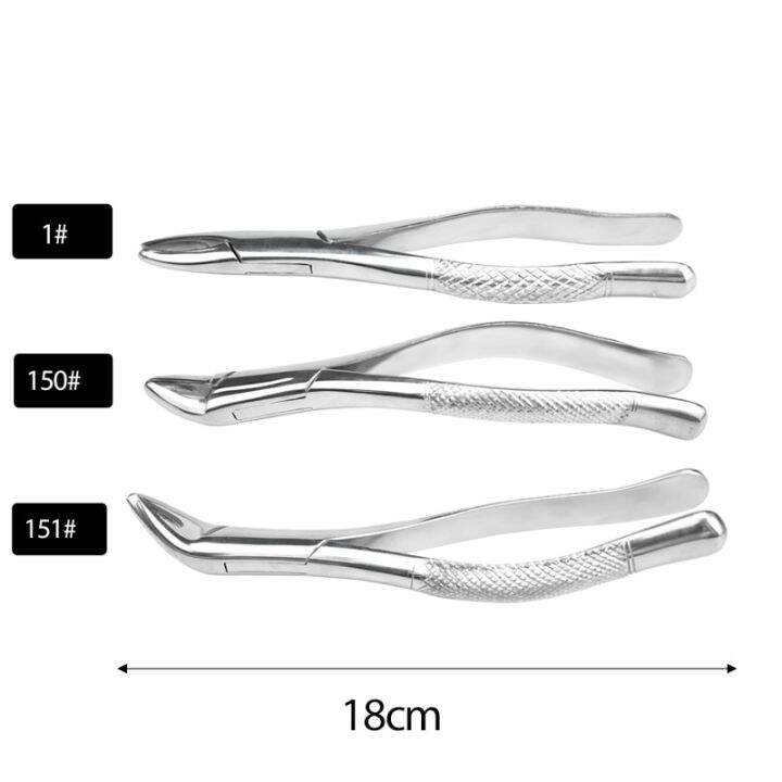 Adult Tooth Extracting Forceps Pliers Dentist Surgical Extraction ...