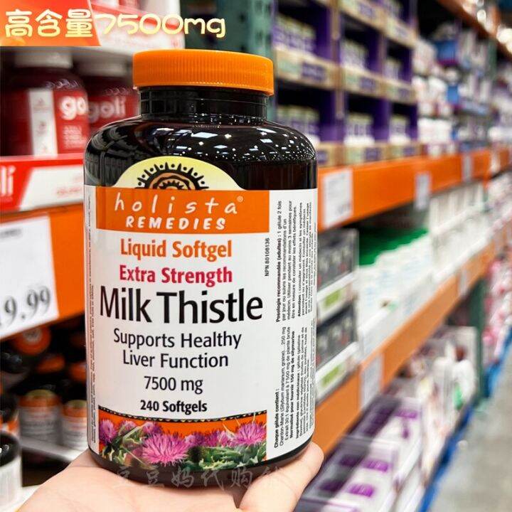Spot Canada holista milk thistle silybum capsule to protect hu liver ...