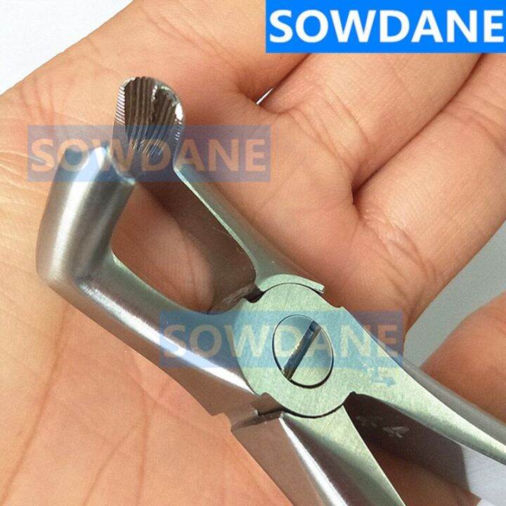 Dental Lower Mandibular Molars Wisdom Teeth Extraction Forcep Saw Tooth ...