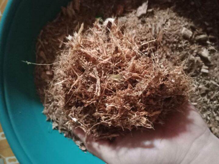 500 grams Coco Mulch | Organic Coconut Husk (Coir) Mulch perfect for ...