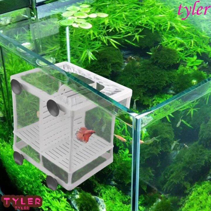 TYLER Fish Tank Incubator Removable with Suction Cup Isolation Net ...