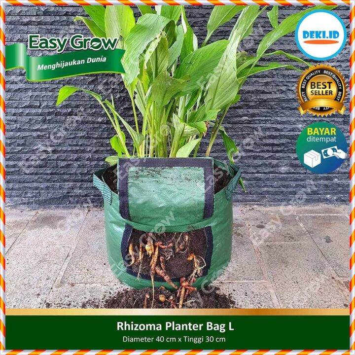 Planter Rizhoma Easy Grow L Large PlanterBag Rhizoma Bag Easygrow Umbi ...